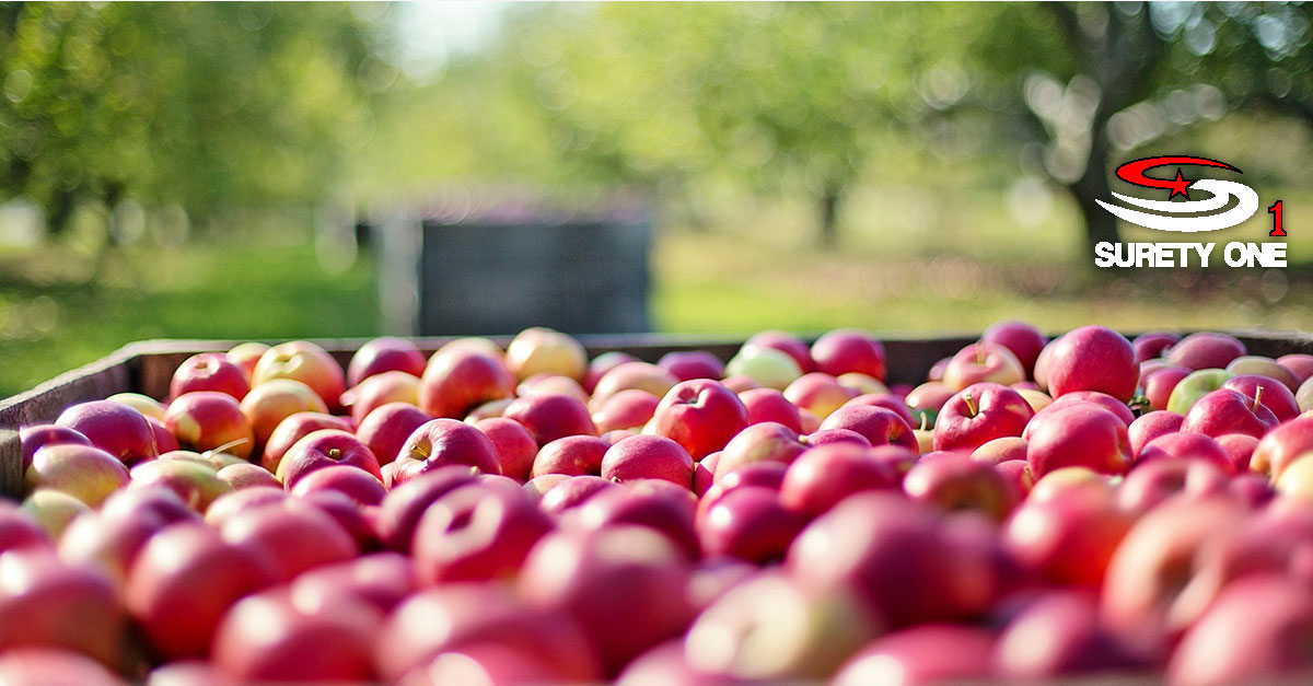 California Farm Labor Contractor Bond • Surety One, Inc.