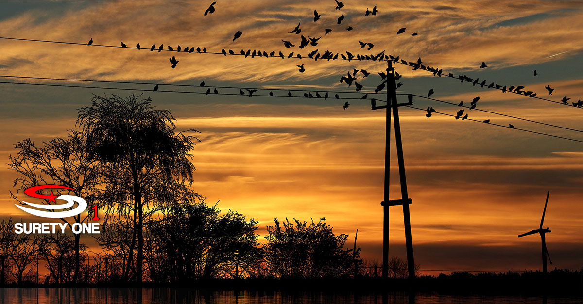 Georgia Power Company Surety Bond (Utility Bond ~ Georgia Power Co ...