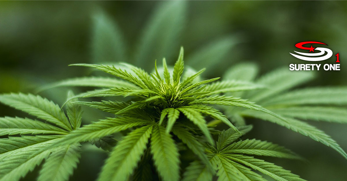 Ohio Hemp Processor Bond • Surety One, Inc.